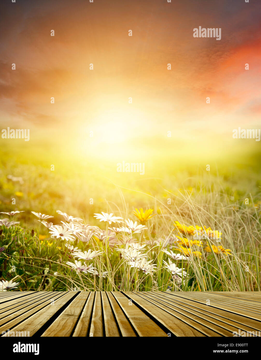 Sonnenbeschienene szene -Fotos und -Bildmaterial in hoher Auflösung – Alamy