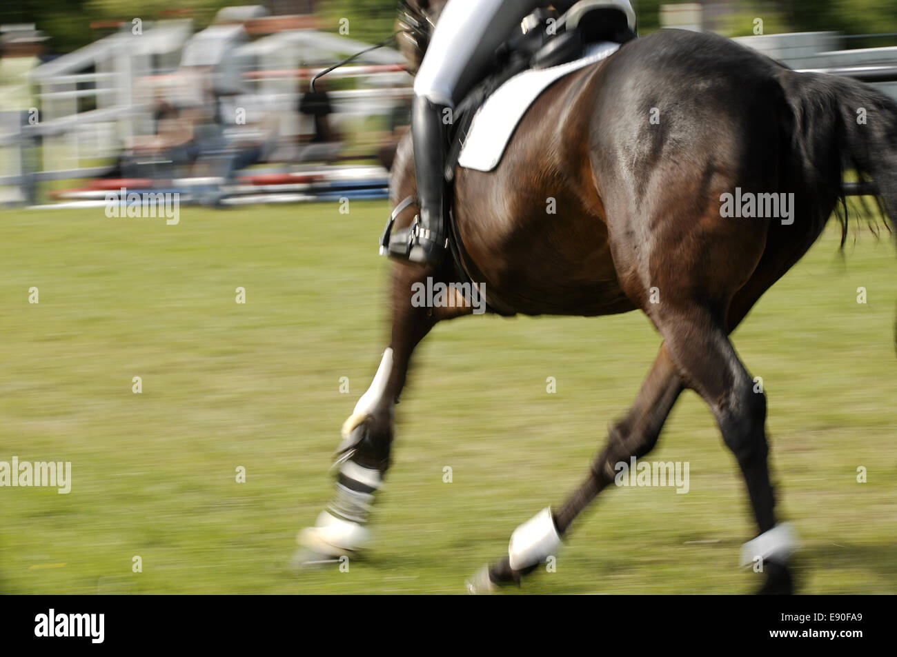 S pferde -Fotos und -Bildmaterial in hoher Auflösung – Alamy