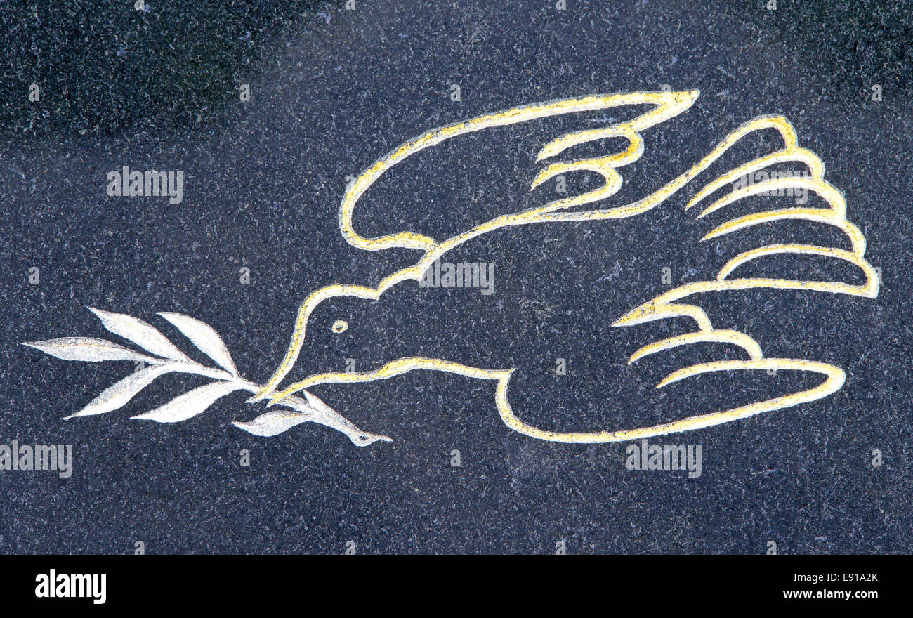 Taube als Friedenssymbol Stockfotografie - Alamy