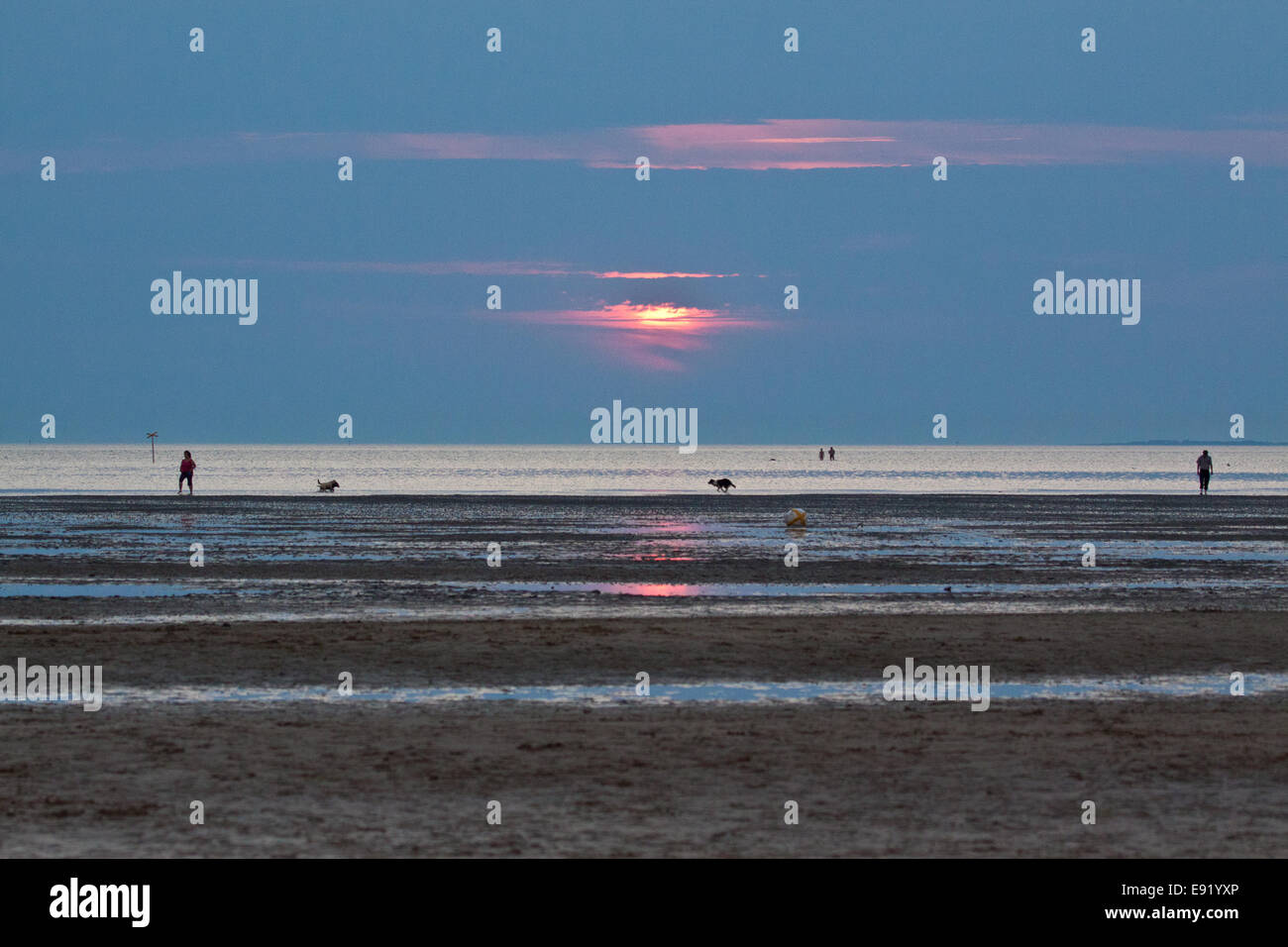 Nationalpark hamburg wattenmeer -Fotos und -Bildmaterial in hoher ...