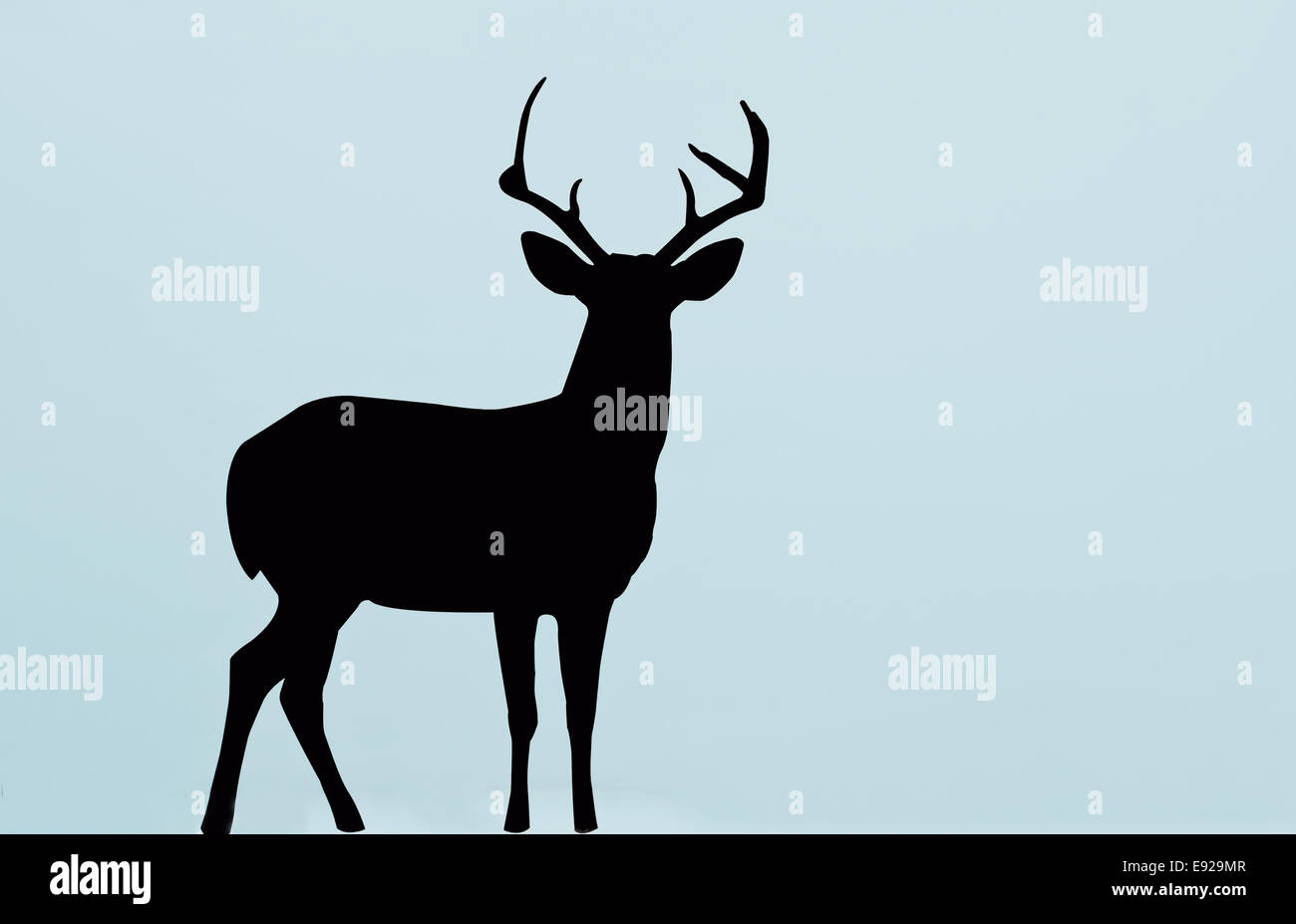 Hirsch tier silhouette -Fotos und -Bildmaterial in hoher Auflösung – Alamy
