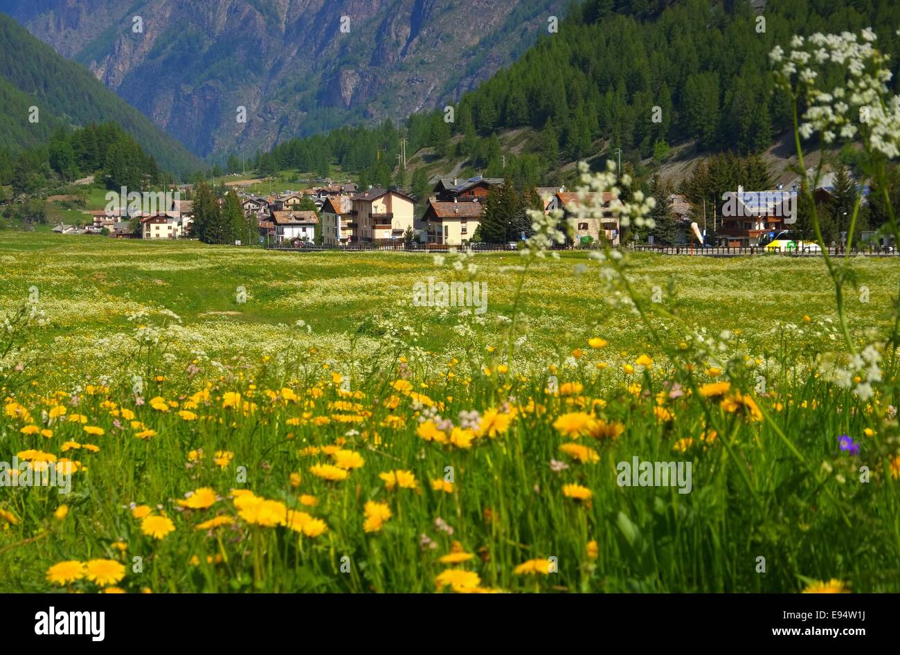 Italy aosta valley cogne village -Fotos und -Bildmaterial in hoher ...