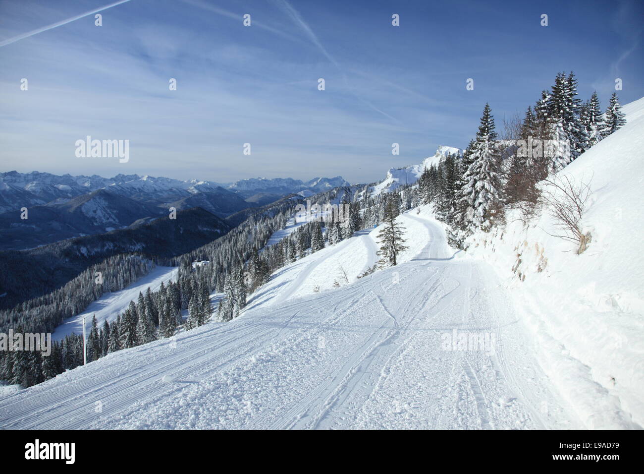 Gipfel eisbar -Fotos und -Bildmaterial in hoher Auflösung – Alamy