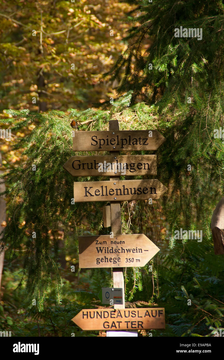 Zeichen im wald -Fotos und -Bildmaterial in hoher Auflösung – Alamy