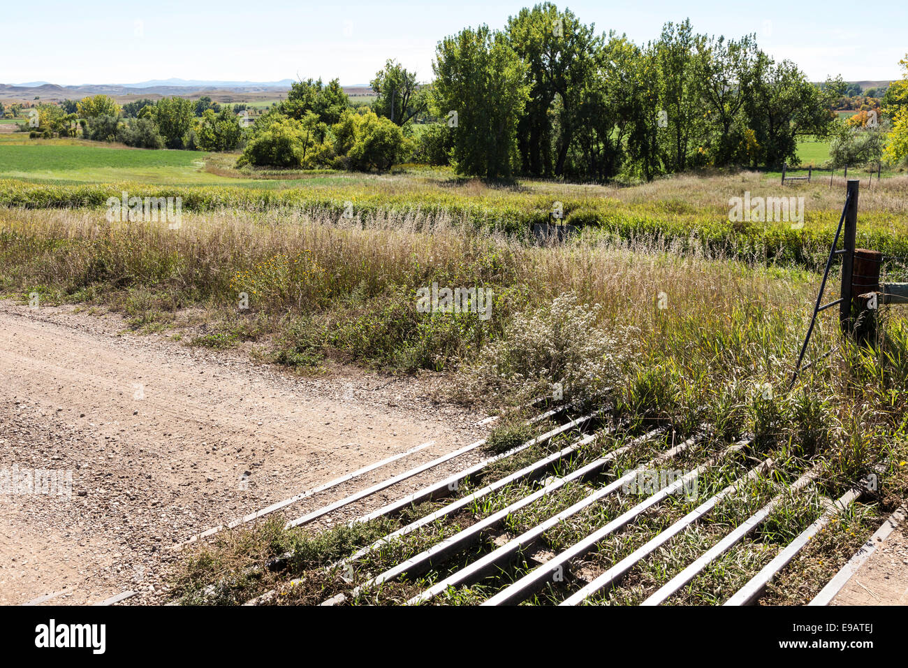 Cattle guard -Fotos und -Bildmaterial in hoher Auflösung – Alamy