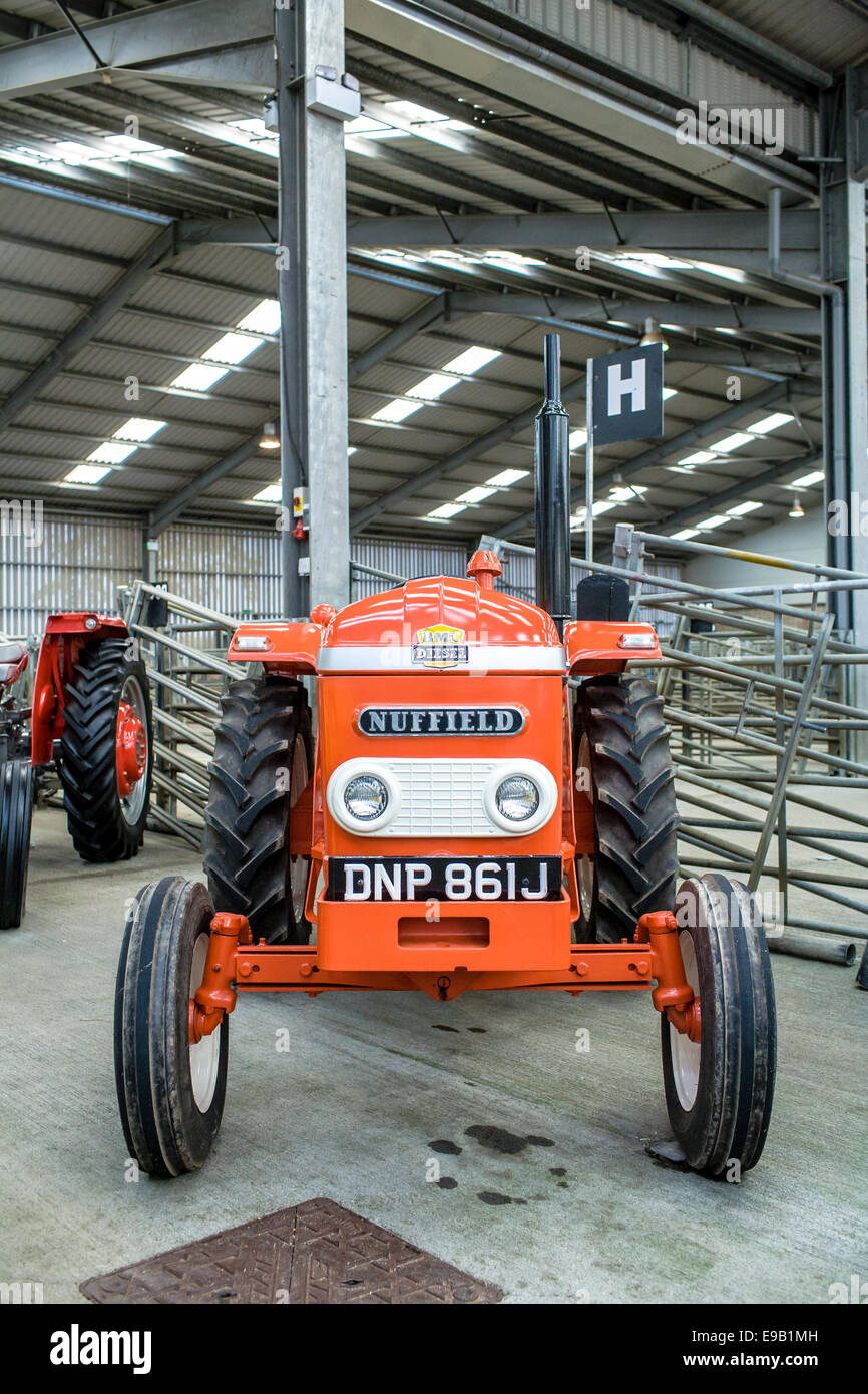 Oldtimer roter Nuffield BMC Diesel-Traktor schottischen Traktor zeigen ...