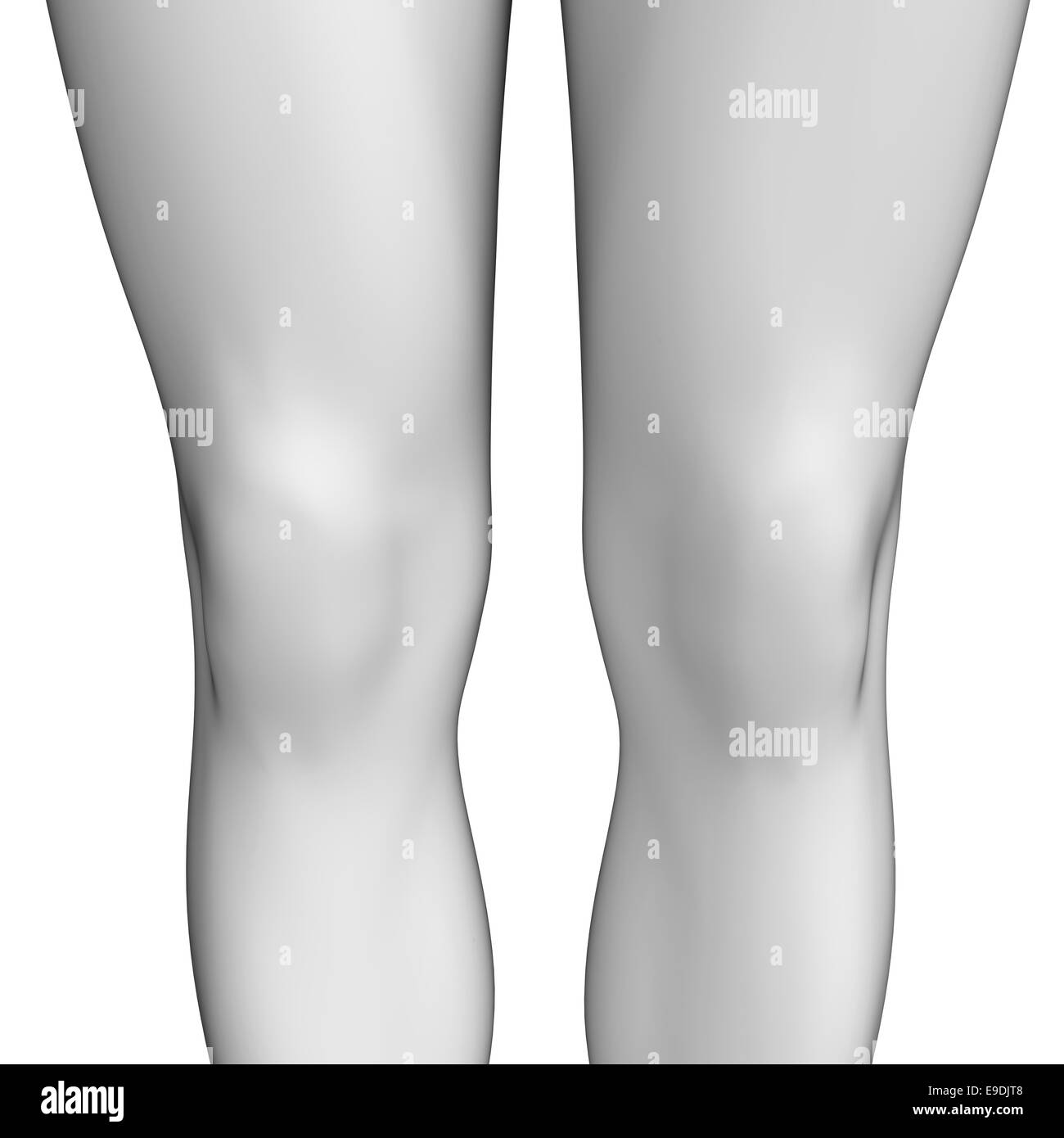 Knie anatomie -Fotos und -Bildmaterial in hoher Auflösung – Alamy