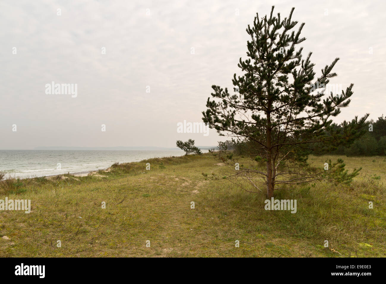 Prora Strand Stockfotos und -bilder Kaufen - Alamy