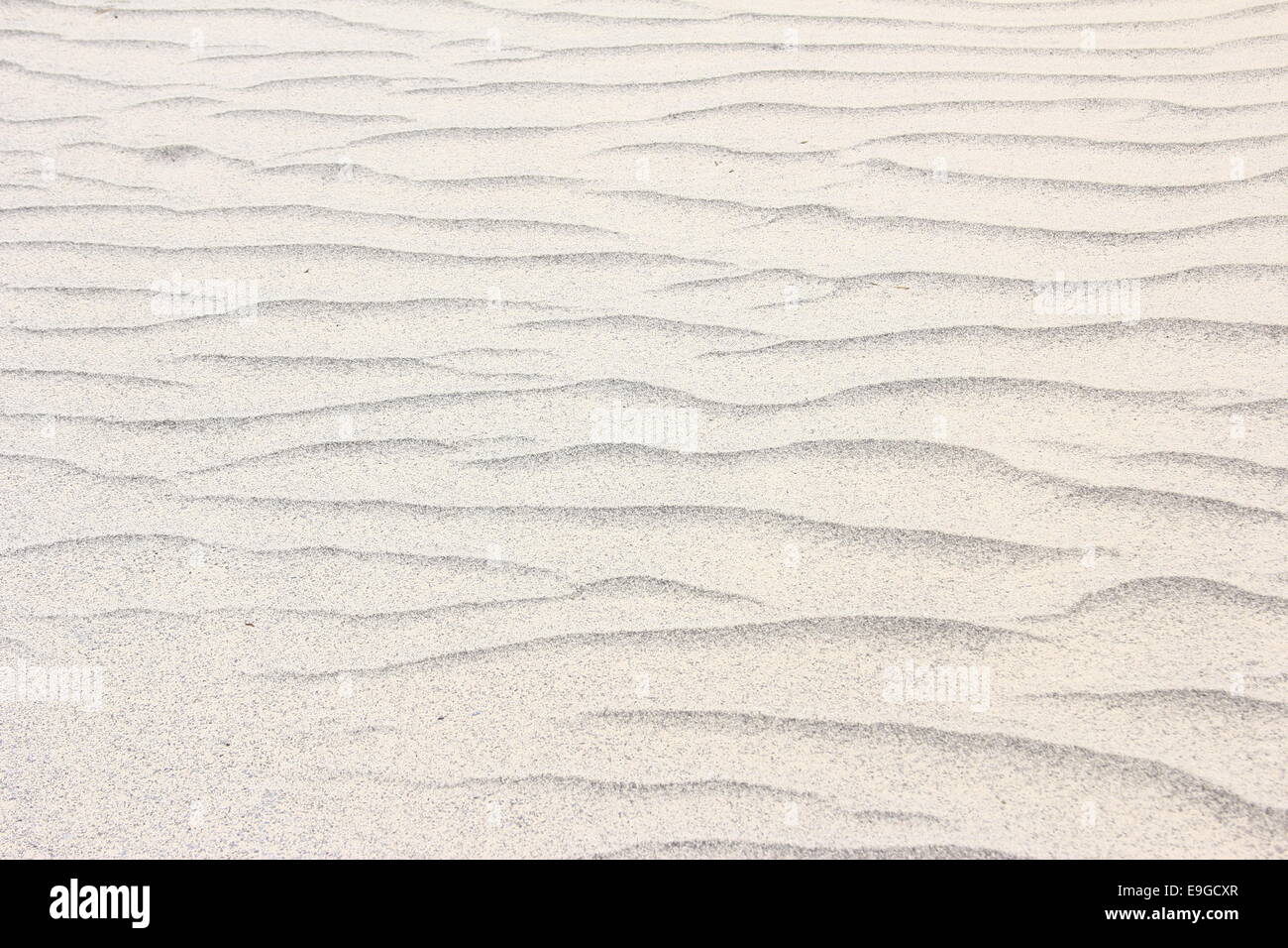 Wellige welligkeit markiert sand -Fotos und -Bildmaterial in hoher Auflösung – Alamy