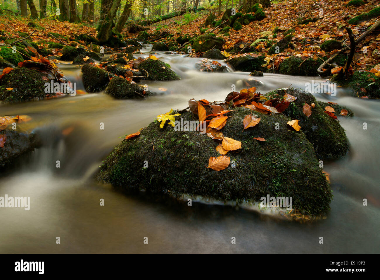 Fluss Nidda Stockfotos und -bilder Kaufen - Alamy