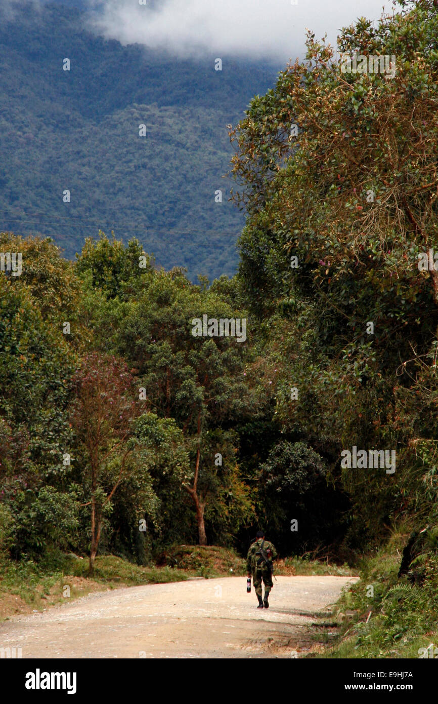 Colombian army -Fotos und -Bildmaterial in hoher Auflösung – Alamy