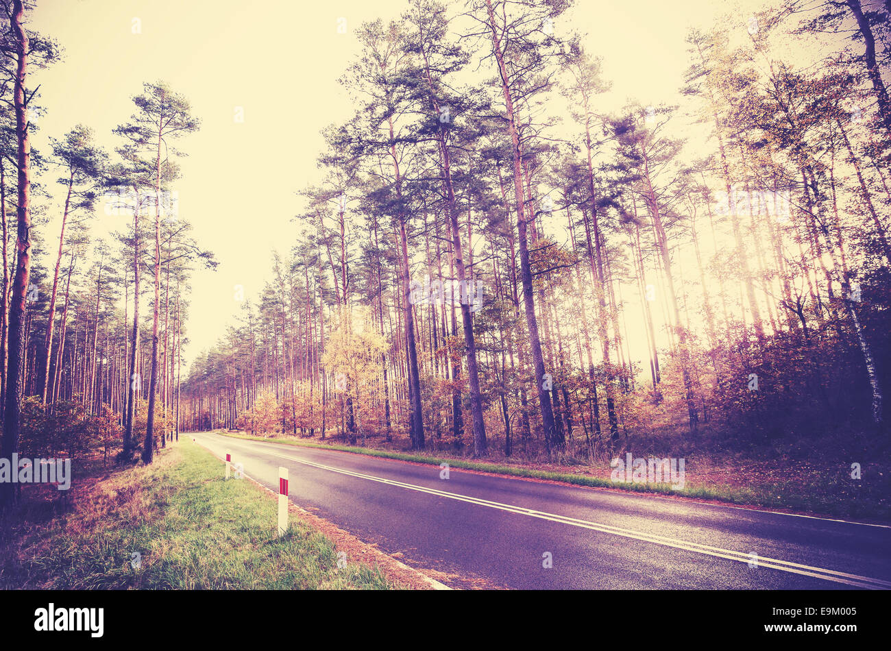 Strasse wald -Fotos und -Bildmaterial in hoher Auflösung – Alamy