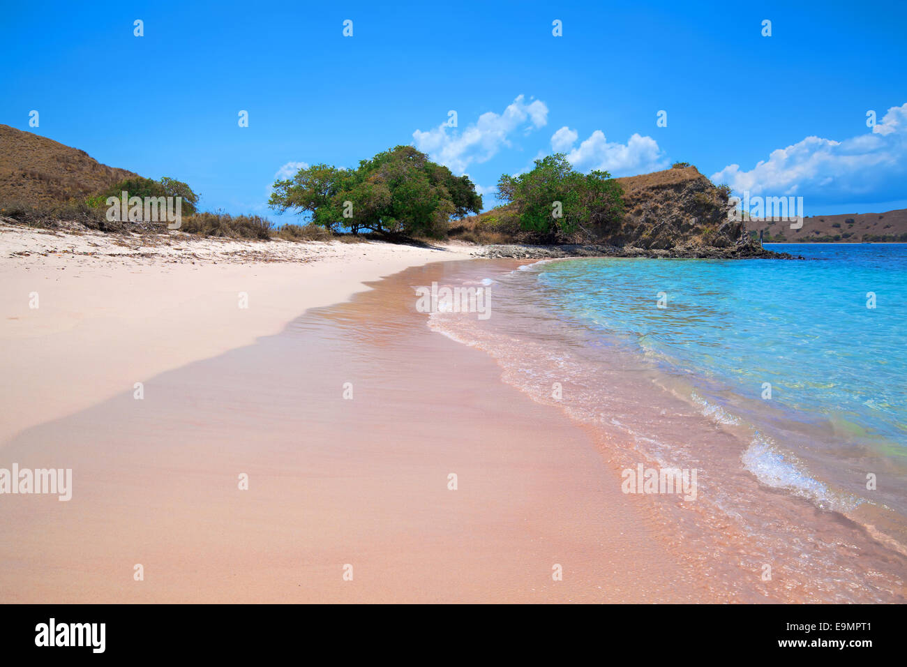 Rosa beach -Fotos und -Bildmaterial in hoher Auflösung – Alamy