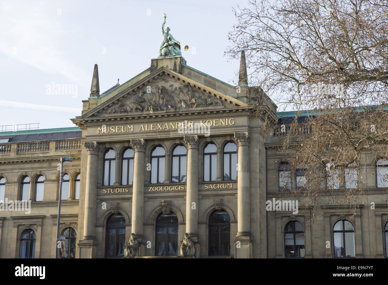 Museum koenig bonn -Fotos und -Bildmaterial in hoher Auflösung – Alamy