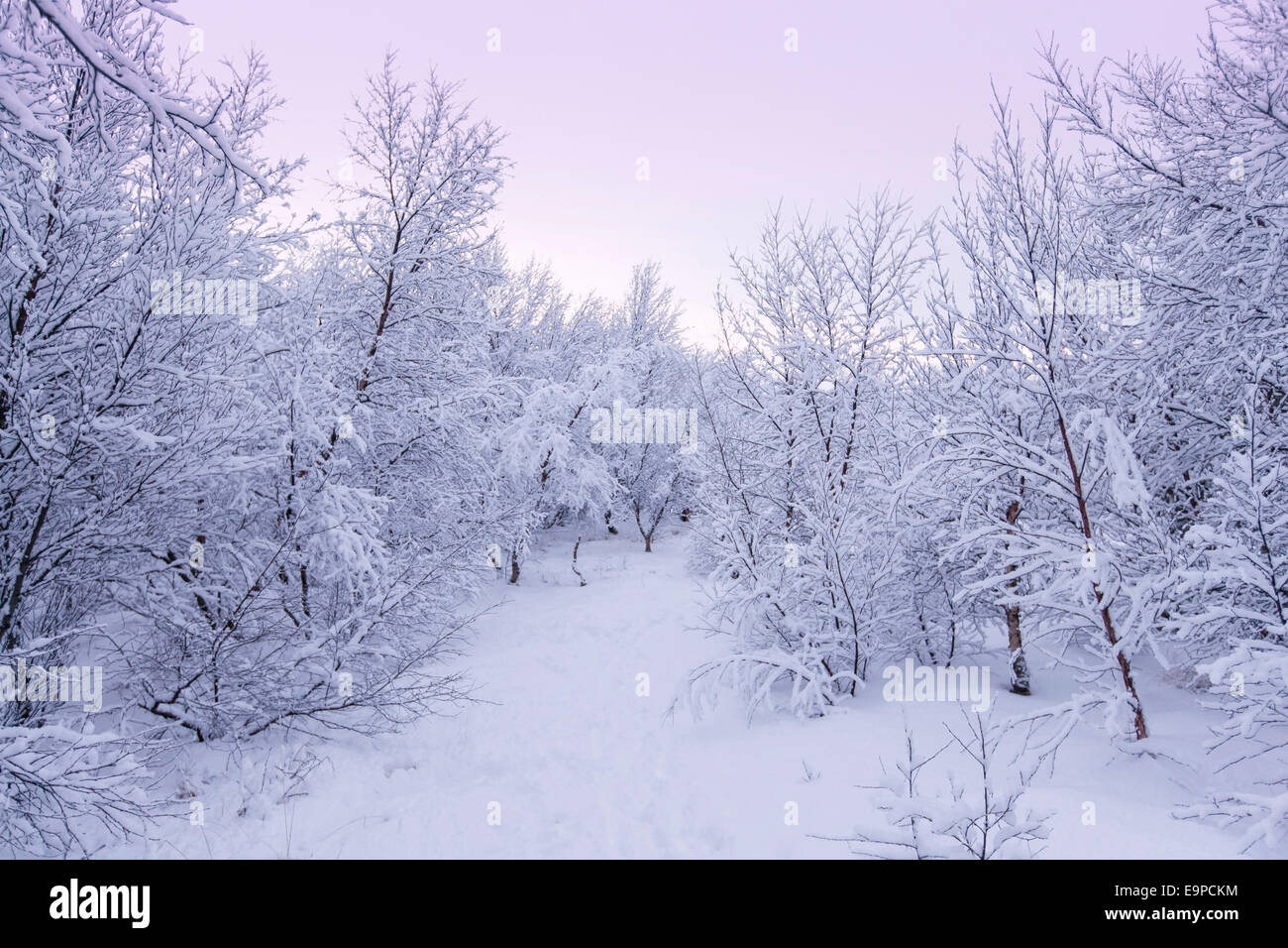 Snow landscape -Fotos und -Bildmaterial in hoher Auflösung – Alamy