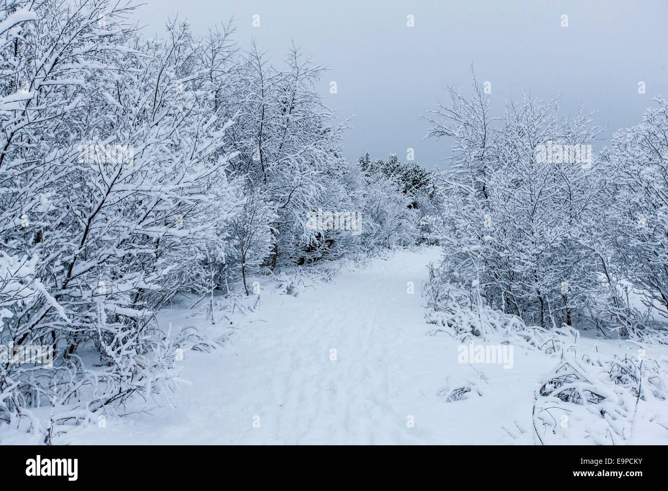 Snow landscape -Fotos und -Bildmaterial in hoher Auflösung – Alamy
