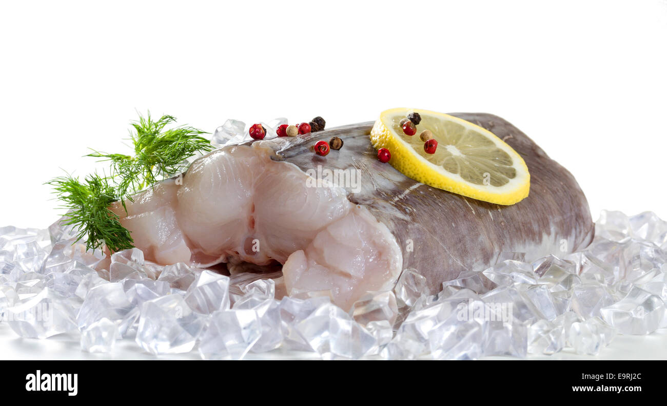 Conger Eel Fishing Stockfotos & Conger Eel Fishing Bilder - Alamy