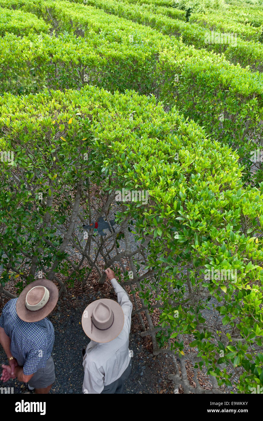 Erstaunen n ort -Fotos und -Bildmaterial in hoher Auflösung – Alamy