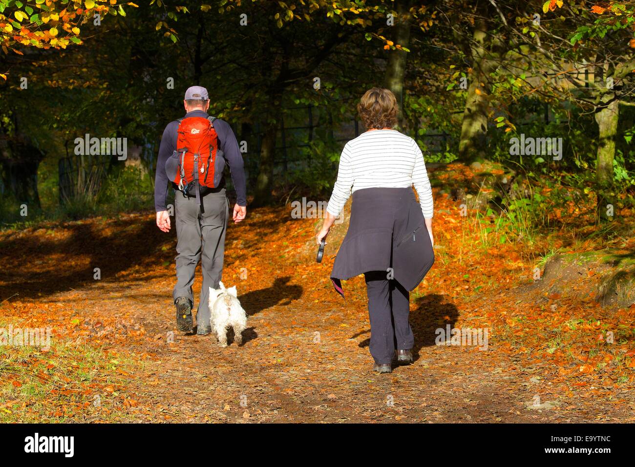 Dame mit hund im herbst im wald -Fotos und -Bildmaterial in hoher ...