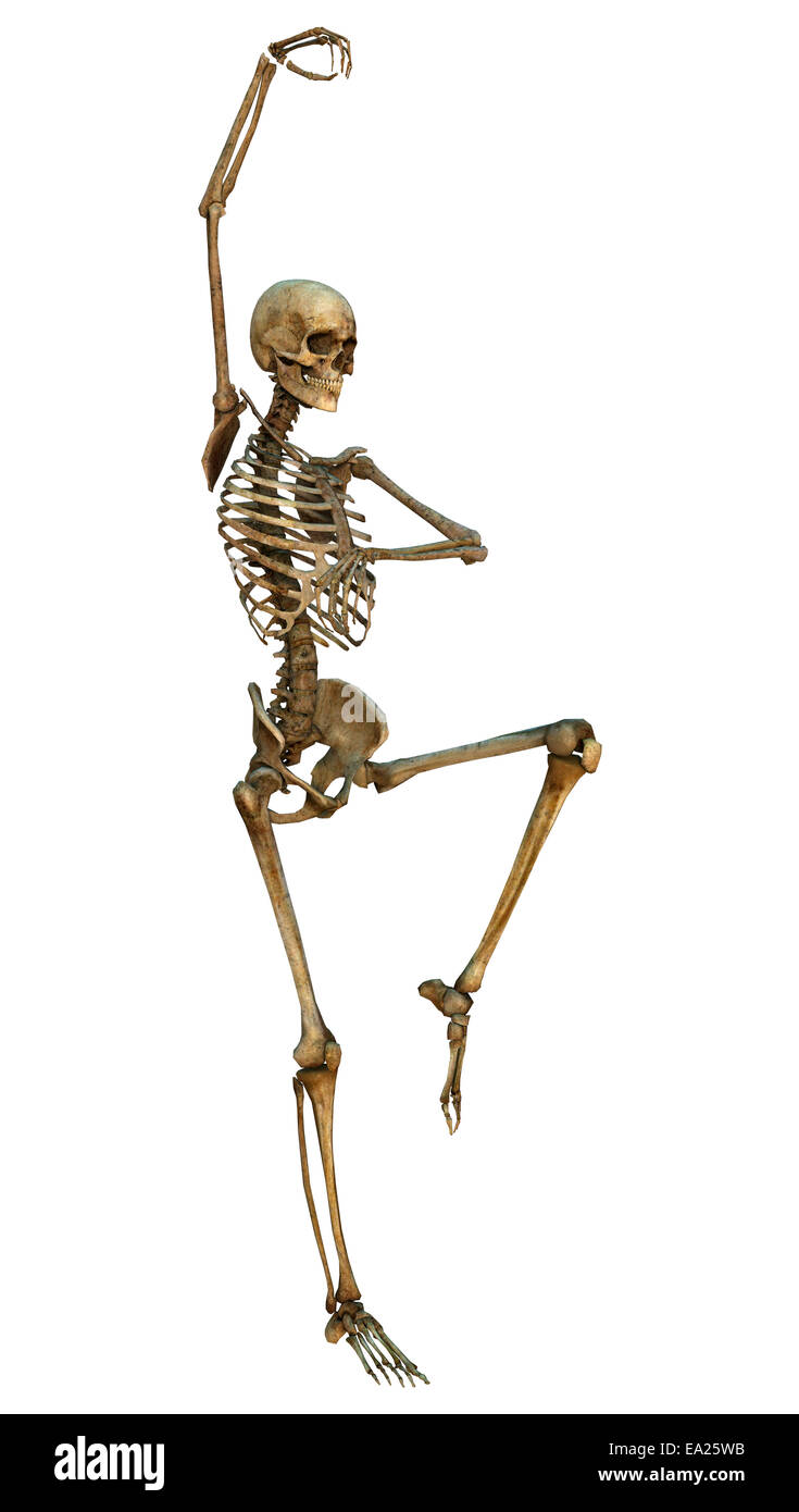 Digitale 3D Rendern eines menschlichen Skeletts in der Kran Schnabel ...