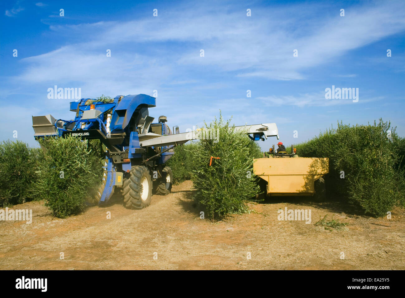 Kathy felder -Fotos und -Bildmaterial in hoher Auflösung – Alamy