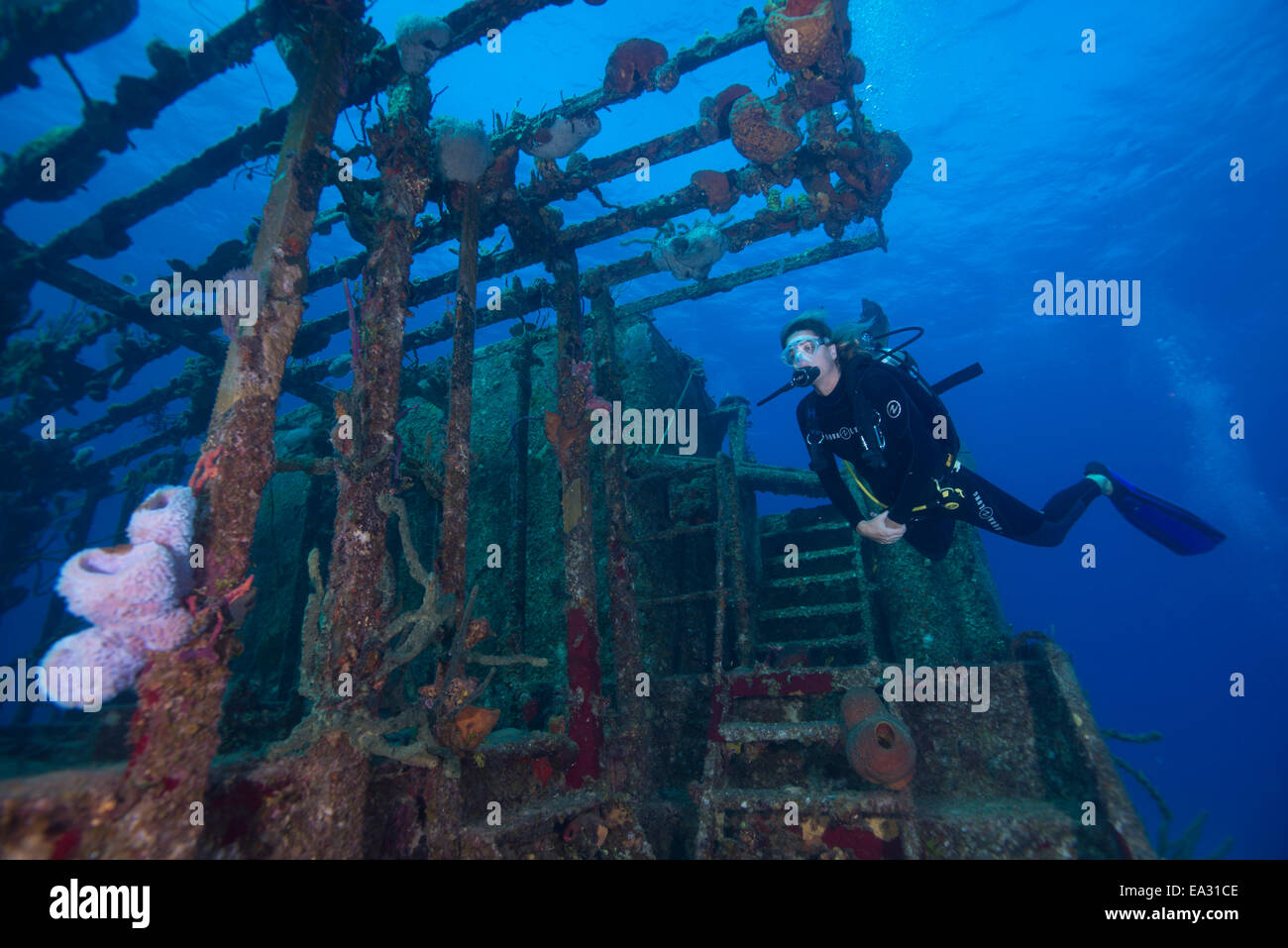 Hamel wrack -Fotos und -Bildmaterial in hoher Auflösung – Alamy