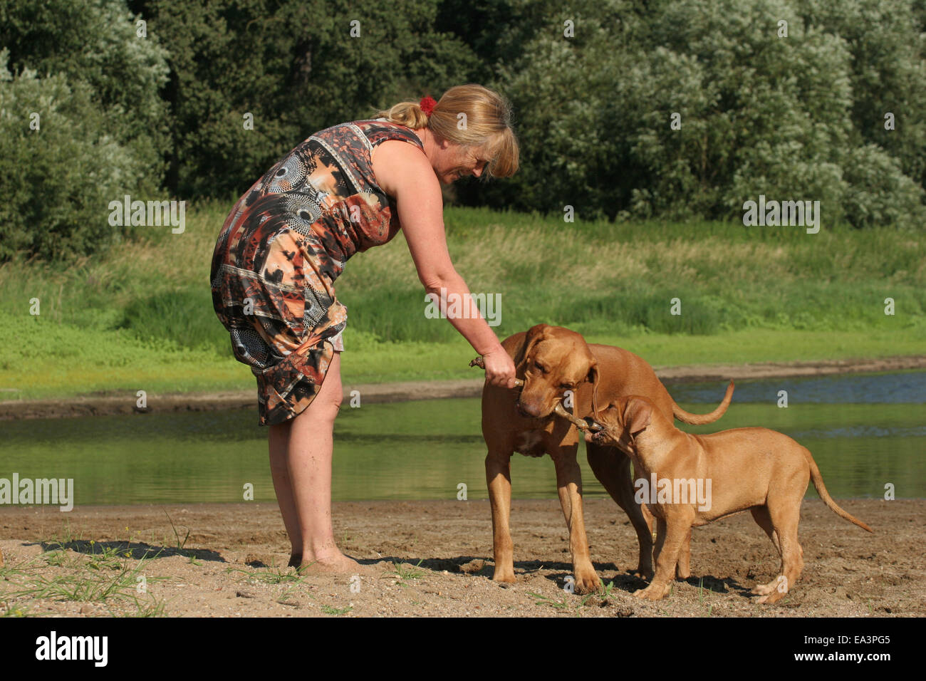 Unreife frau -Fotos und -Bildmaterial in hoher Auflösung – Alamy