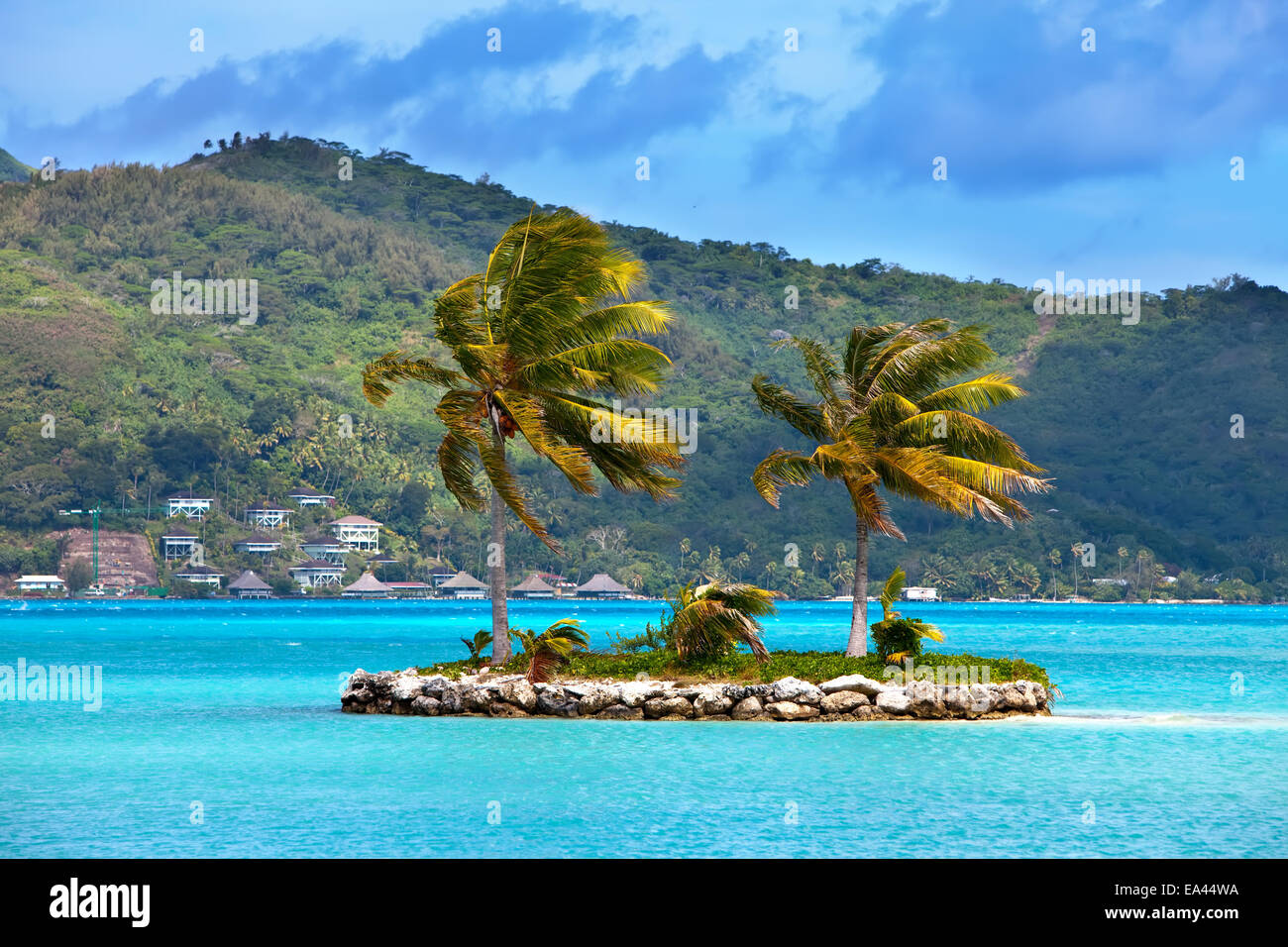 Palmen trauminsel -Fotos und -Bildmaterial in hoher Auflösung – Alamy