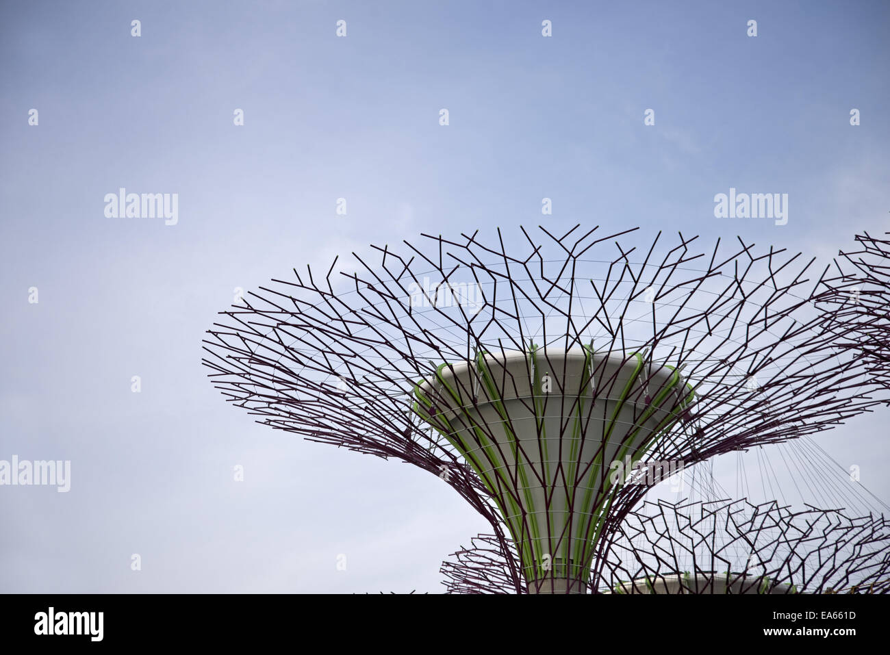 Supertrees, Gardens by the Bay, Singapur Stockfotografie - Alamy
