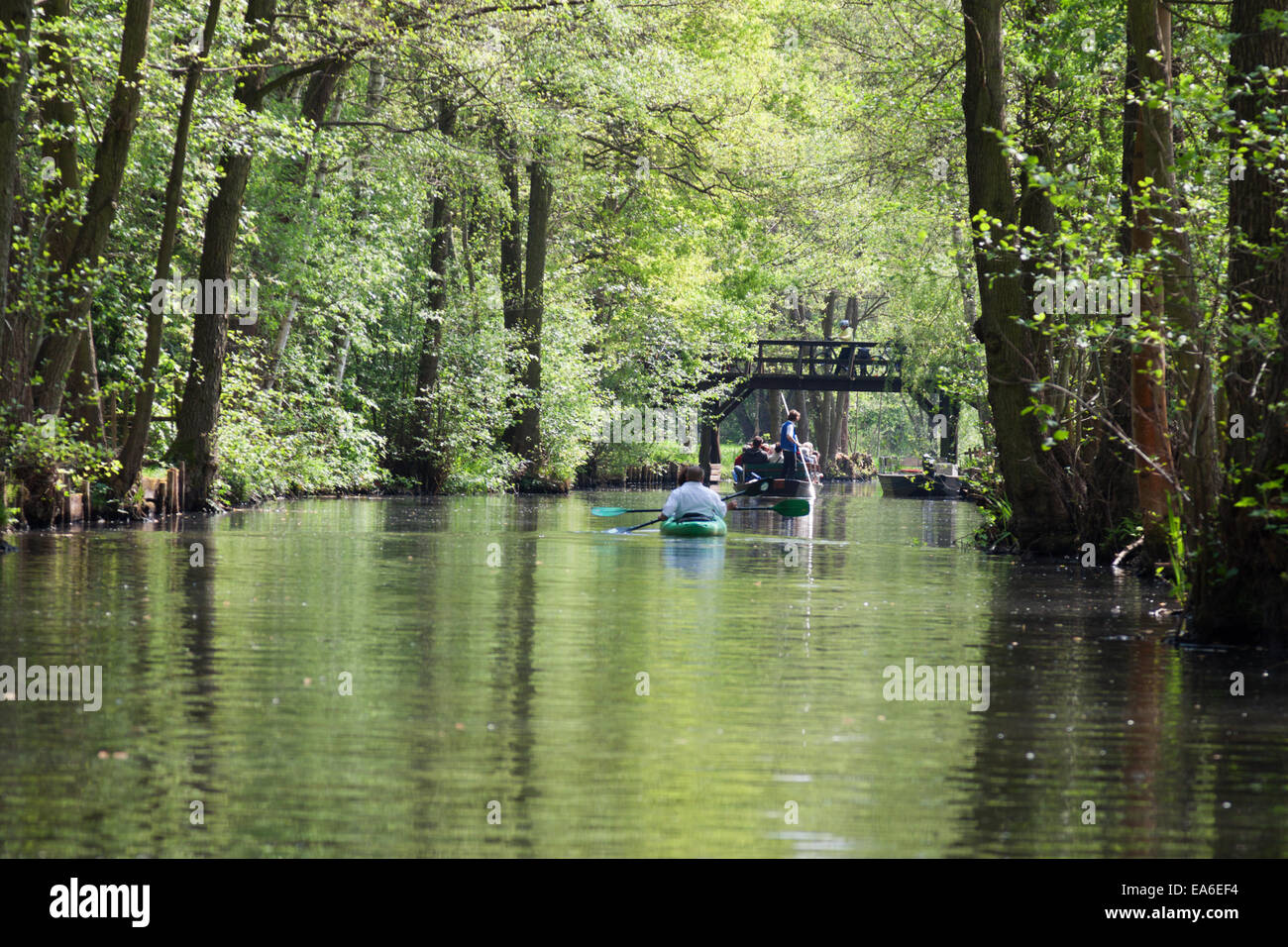 Spreewald Forest Bridge Stockfotos und -bilder Kaufen - Alamy
