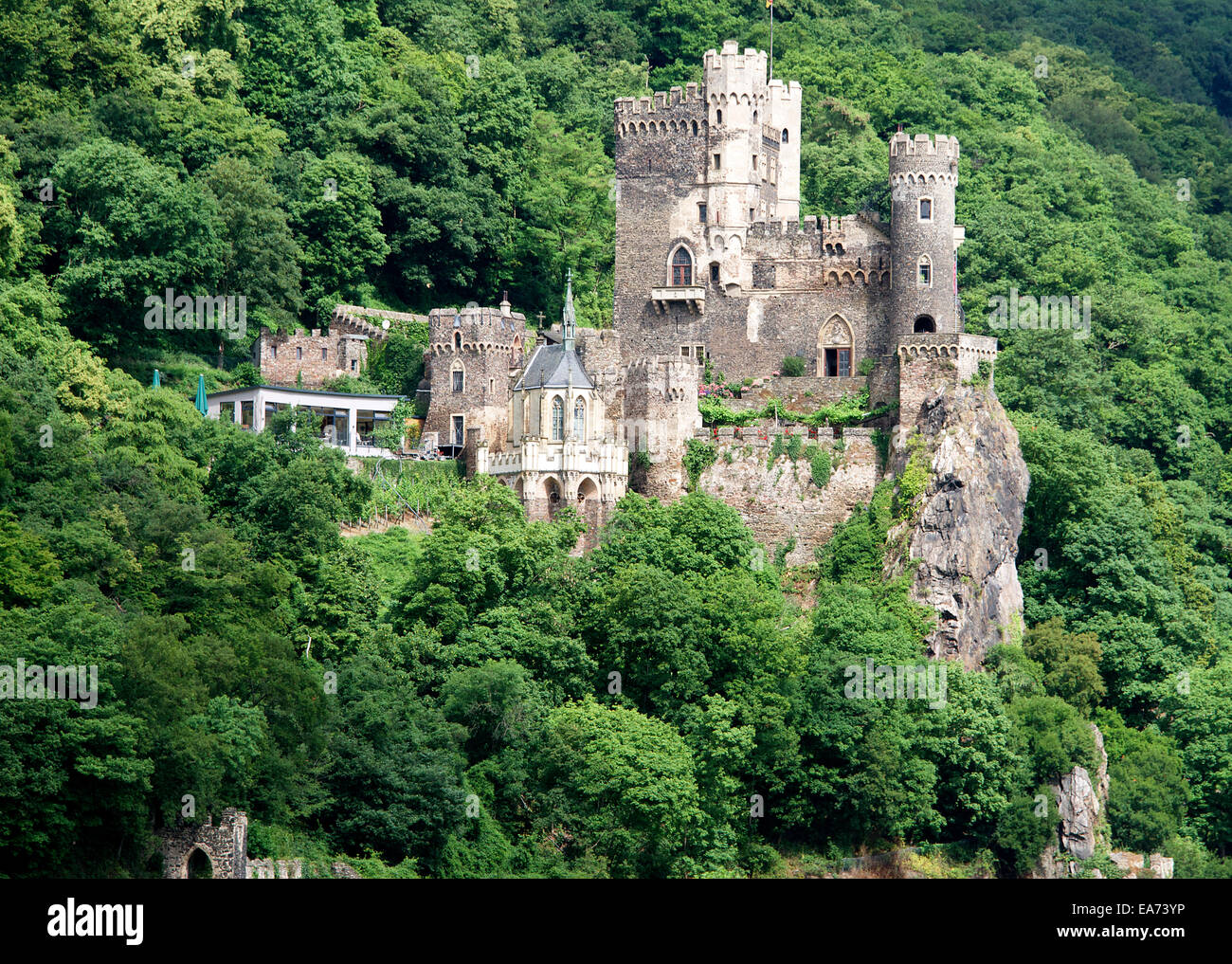 Reichenstein Burg Rhein Schlucht Rheinland-Pfalz Deutschland ...
