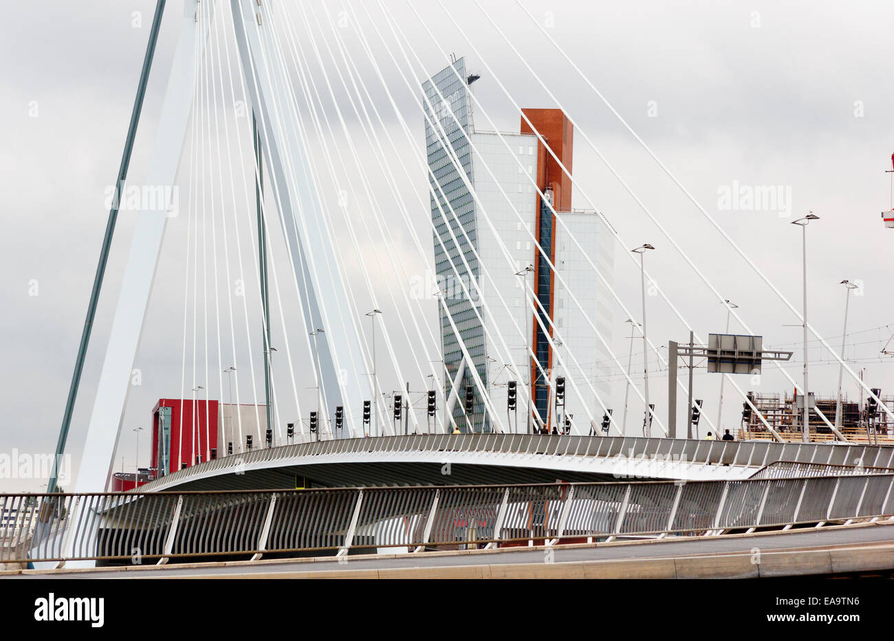Erasmusbrug bridge -Fotos und -Bildmaterial in hoher Auflösung – Alamy