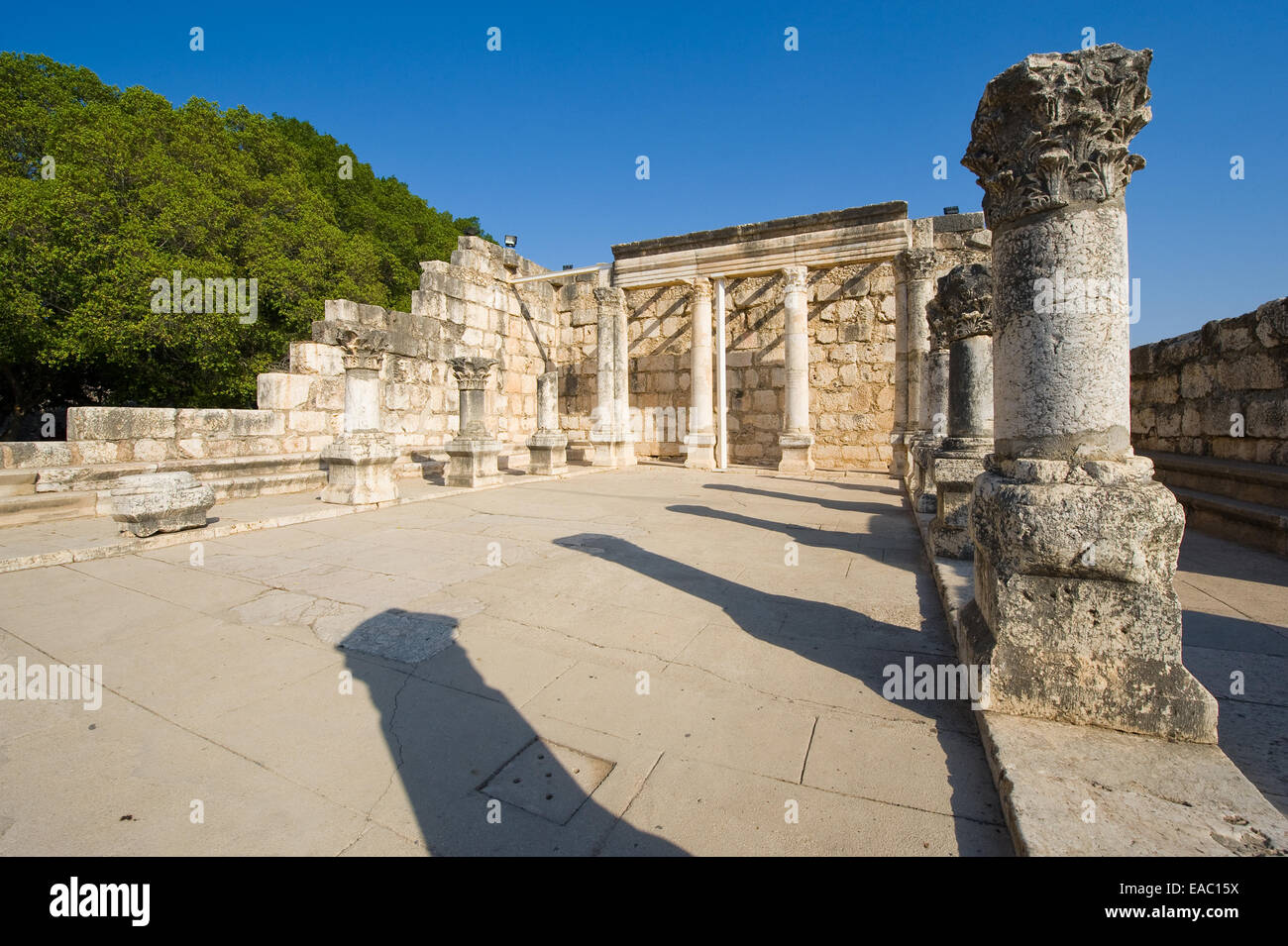 Kfar nachum -Fotos und -Bildmaterial in hoher Auflösung – Alamy
