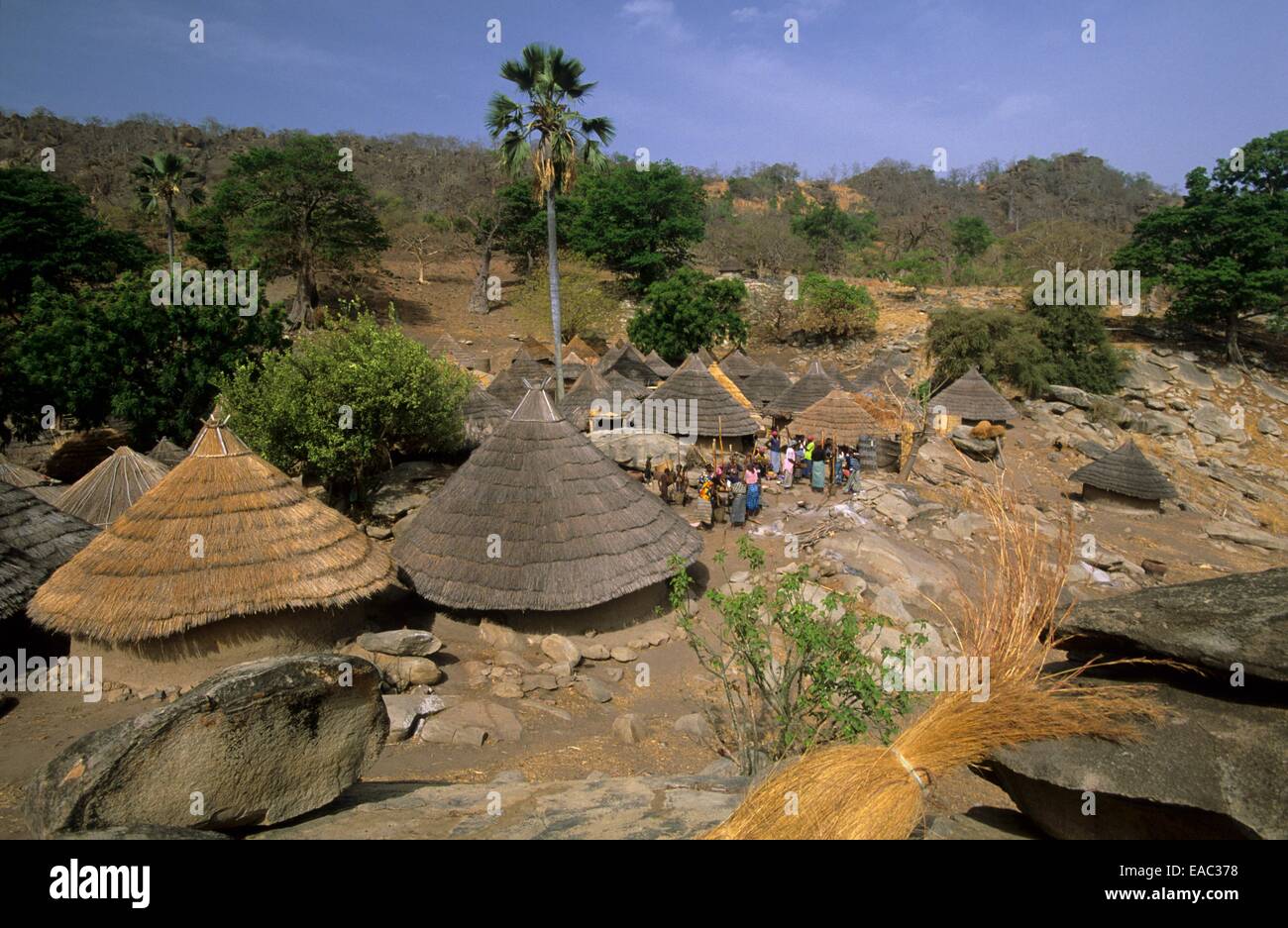 Bassari tribe -Fotos und -Bildmaterial in hoher Auflösung – Alamy