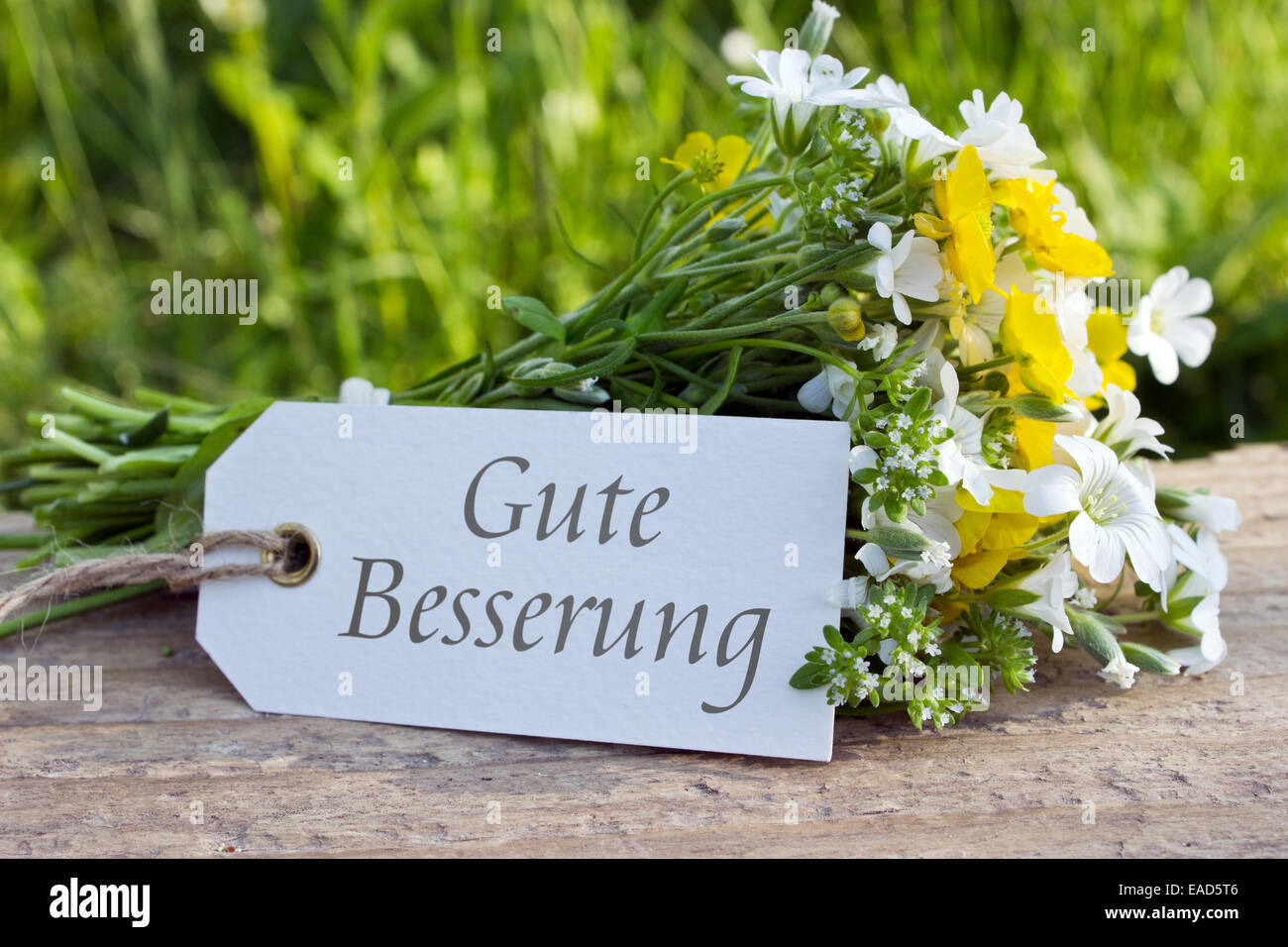 Deutsche well -Fotos und -Bildmaterial in hoher Auflösung – Alamy