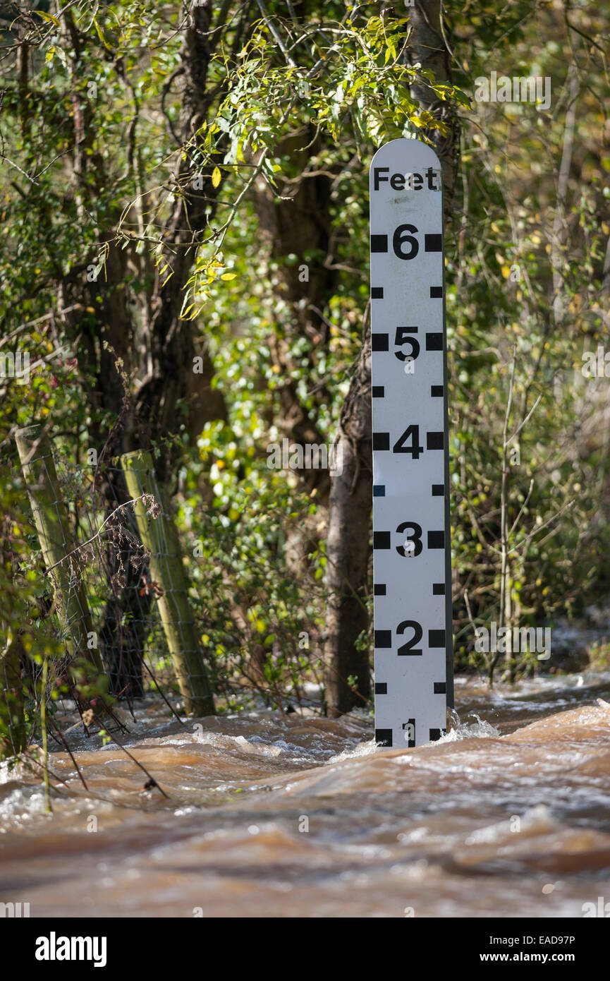 Überschwemmungen in der Nähe von Rewe, Exeter, Devon, UK, wo der Fluss ...