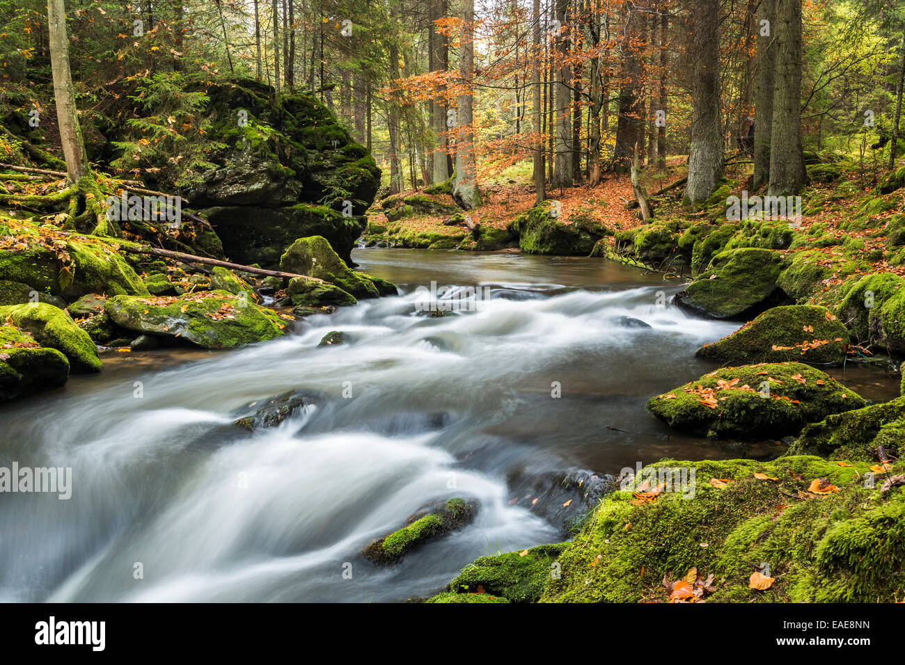 Herbst park und fluss -Fotos und -Bildmaterial in hoher Auflösung – Alamy
