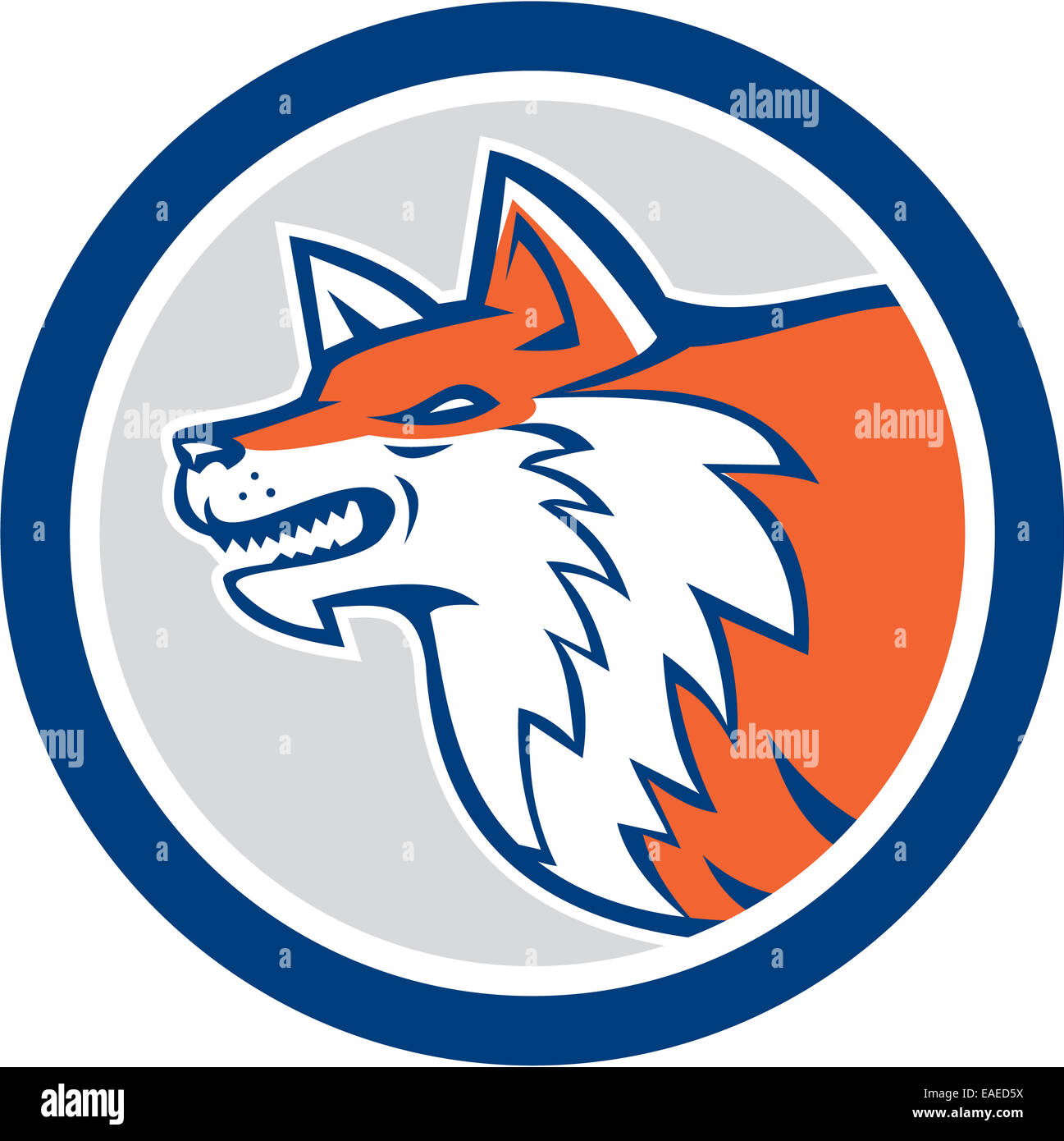 Darstellung eine böse Fuchs wilder Hund Wolf Kopf stürzen sich ...