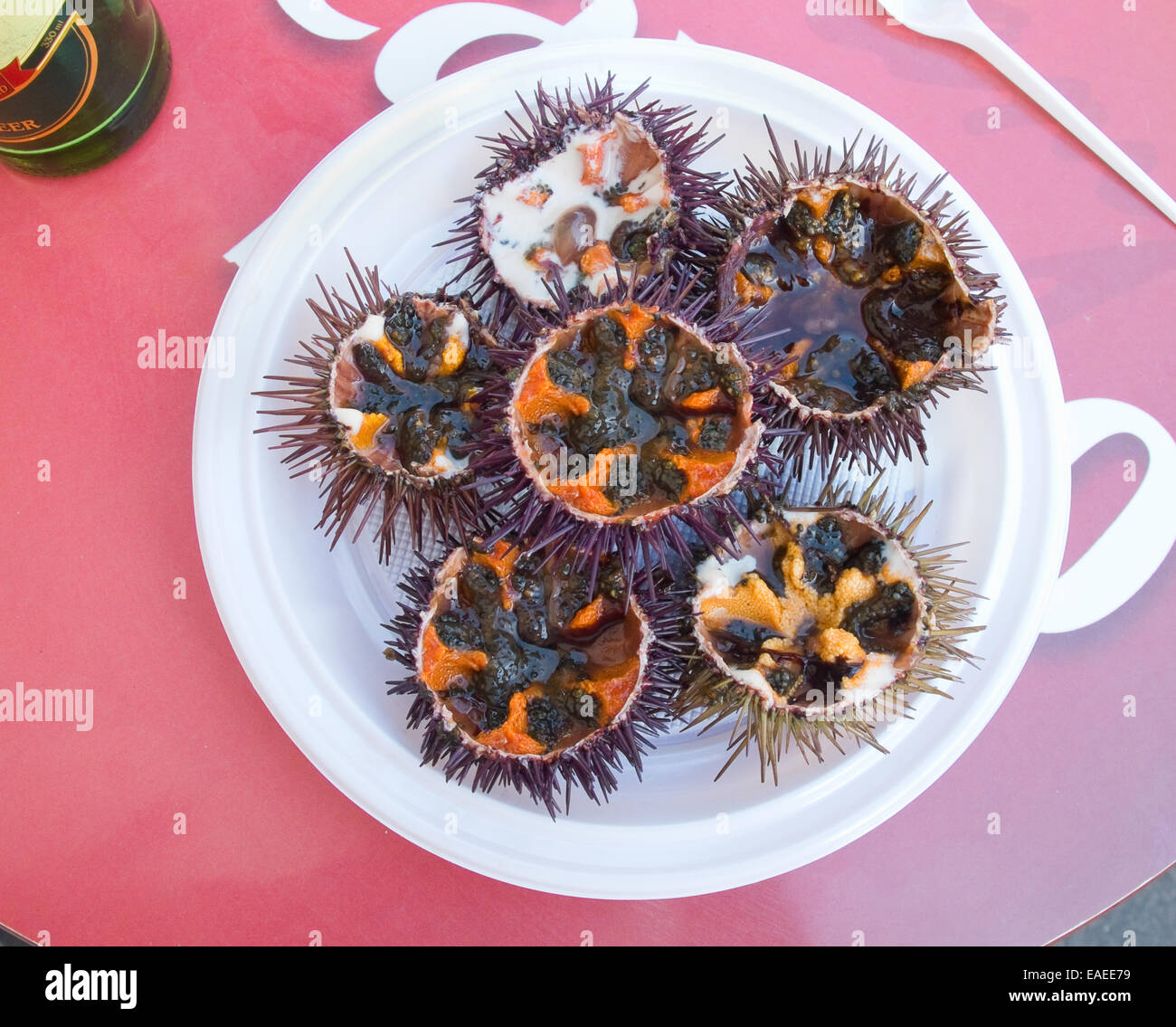 Fresh sea urchin -Fotos und -Bildmaterial in hoher Auflösung – Alamy
