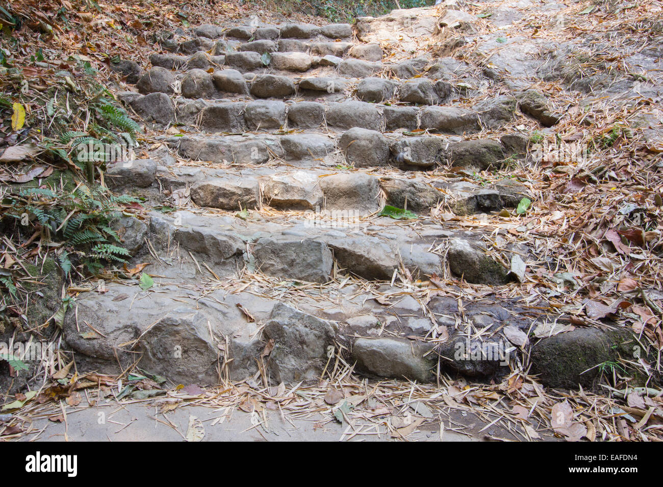 Treppen im fels -Fotos und -Bildmaterial in hoher Auflösung – Alamy