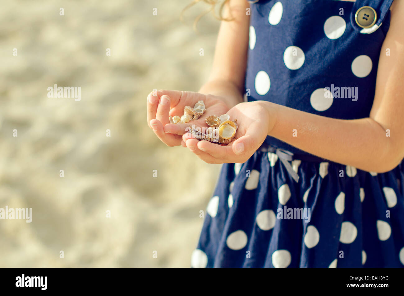 Muscheln sammeln -Fotos und -Bildmaterial in hoher Auflösung – Alamy