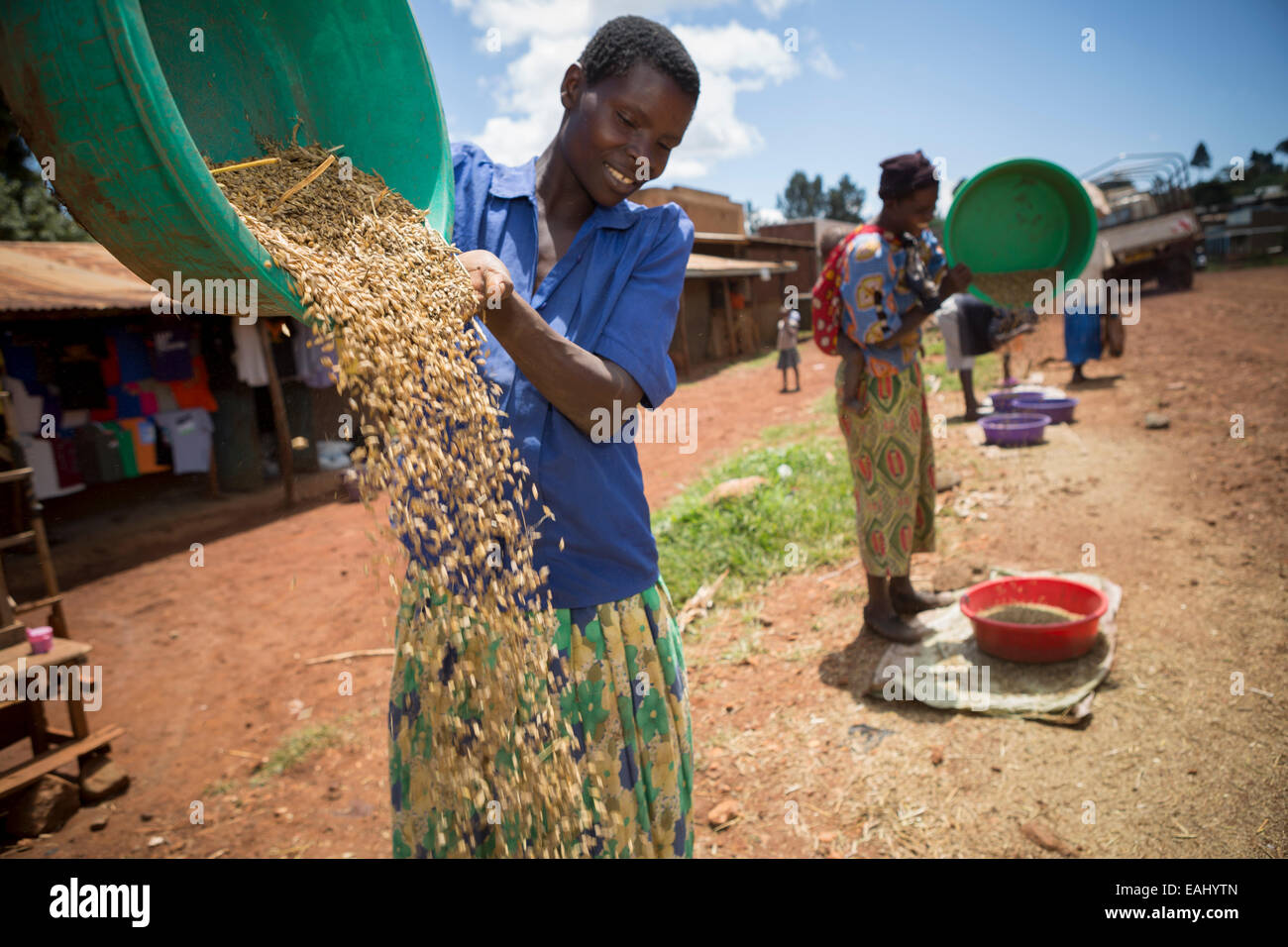 Frauen Worfeln Gerste Korn, die lokal in Bukwo District, Uganda ...