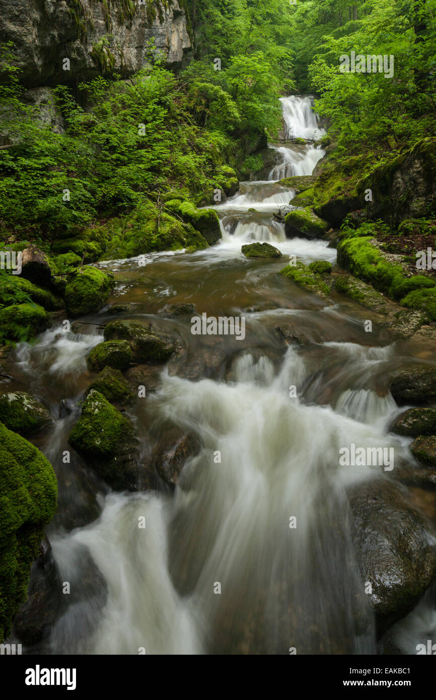 Wasserfall in der Twannbachschlucht Schlucht im Schweizer Jura, Biel ...