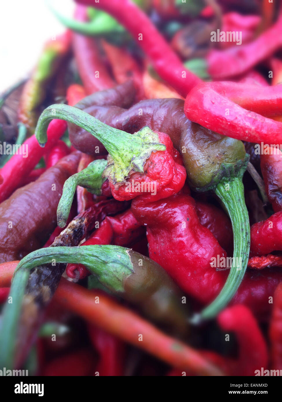 Rote Peperoni auf einem Stand am Bauernmarkt Stockfotografie - Alamy