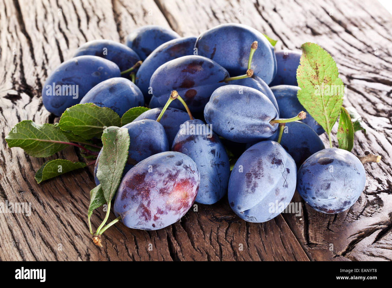 Alte pflaume -Fotos und -Bildmaterial in hoher Auflösung – Alamy