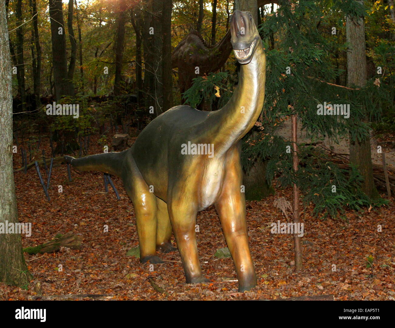 Modell einer Jurassic Ära Europasaurus. Full-Size und lebensechte Dino ...