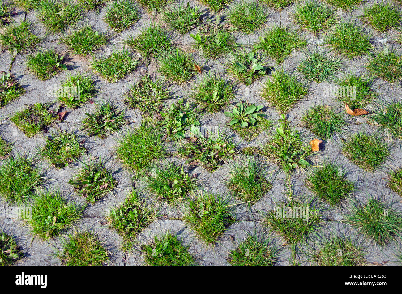 Beton und Rasen Pflaster Architektur Hintergrund Stockfotografie - Alamy