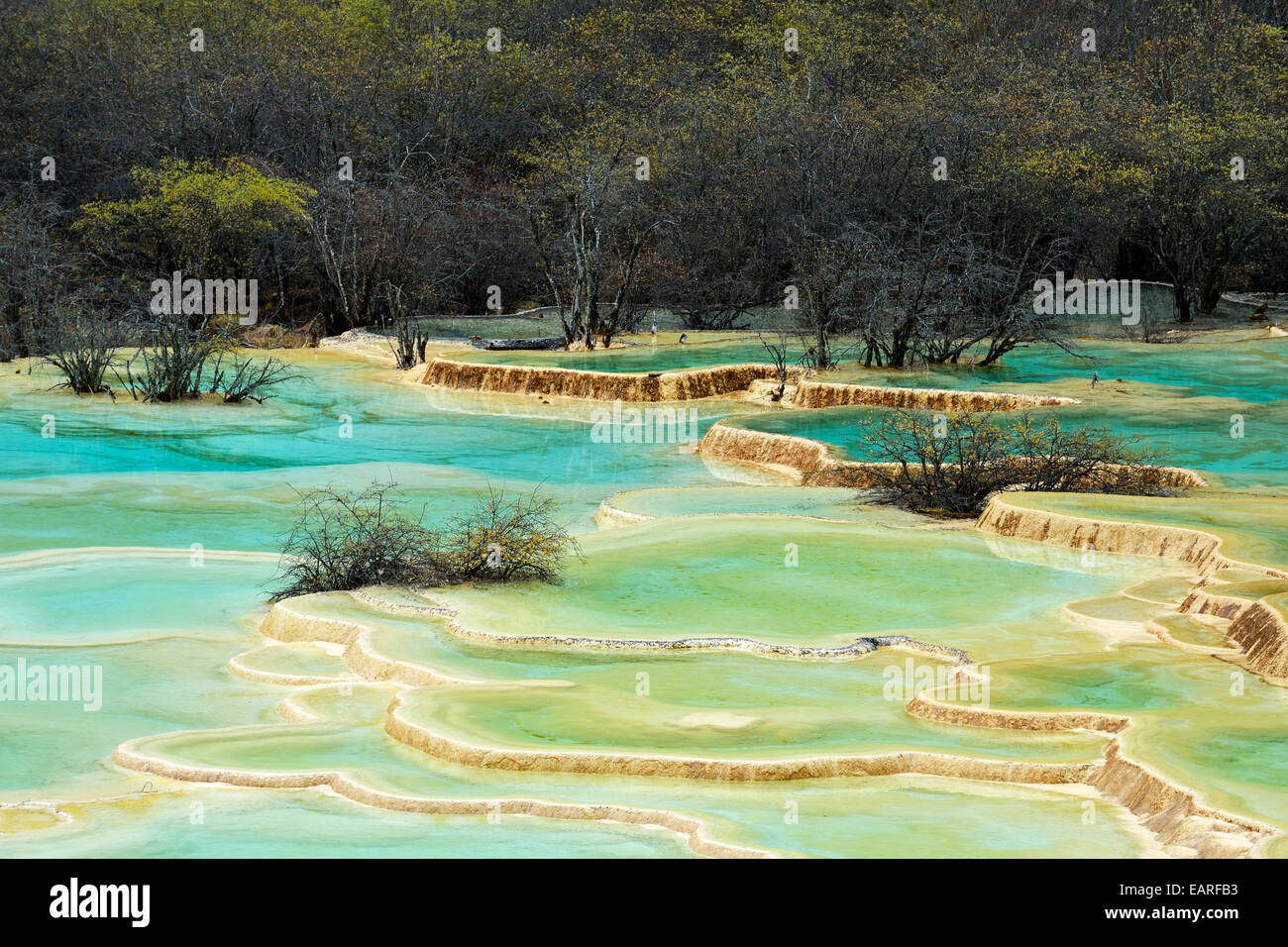 Lime sinter -Fotos und -Bildmaterial in hoher Auflösung – Alamy