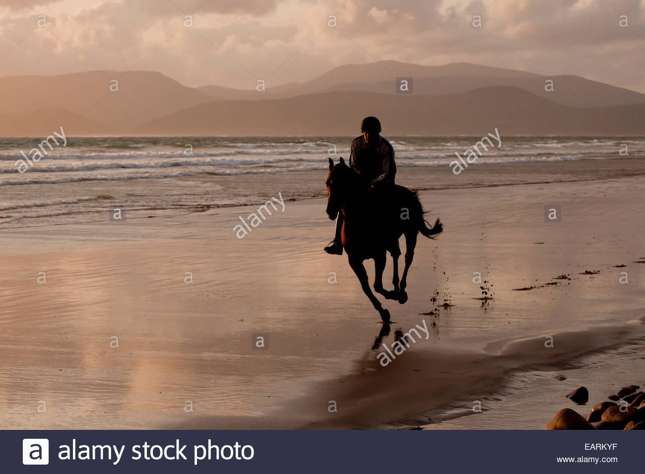 Reiter und pferd am strand -Fotos und -Bildmaterial in hoher Auflösung – Alamy