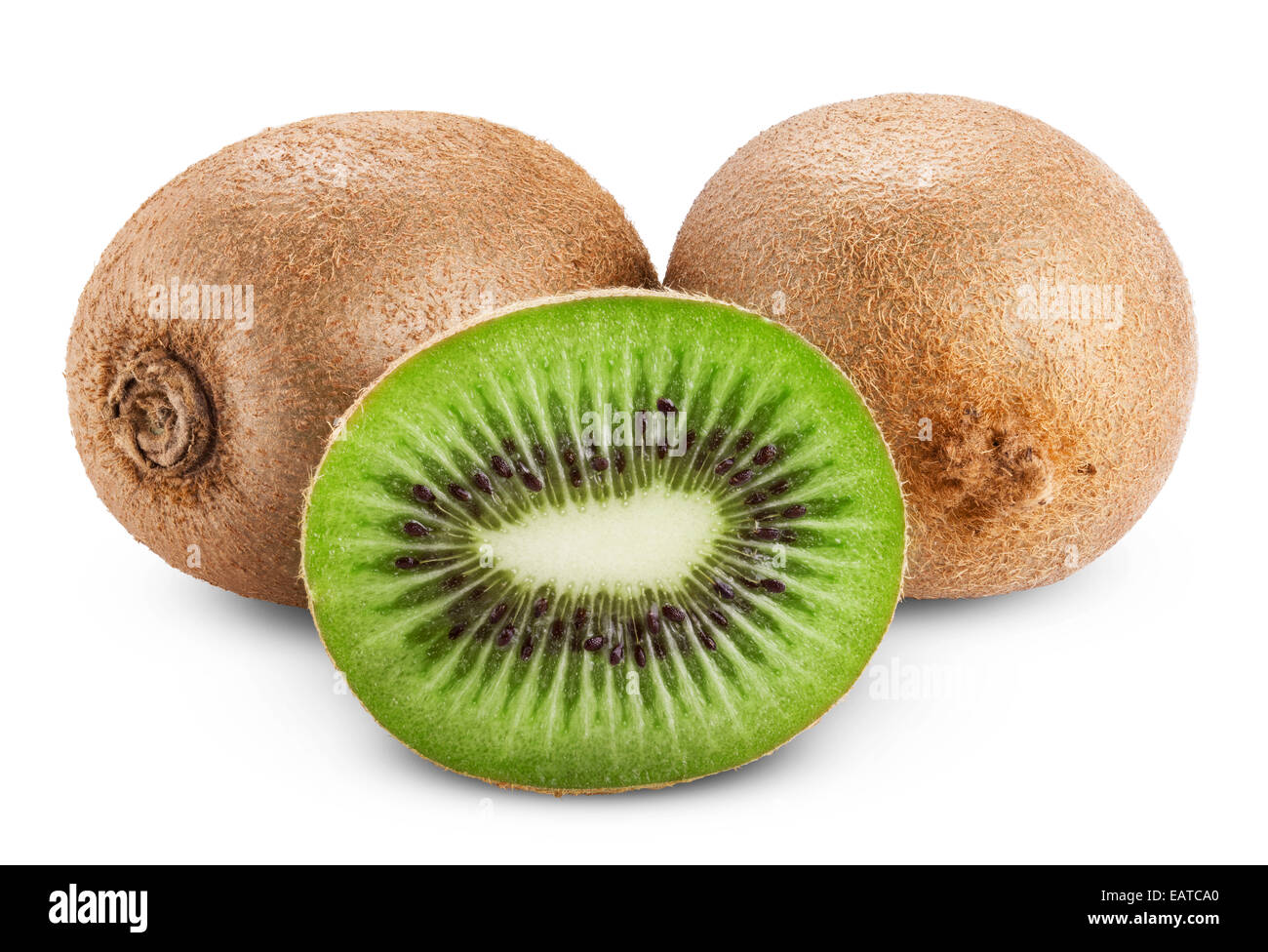 Kiwi frucht -Fotos und -Bildmaterial in hoher Auflösung – Alamy